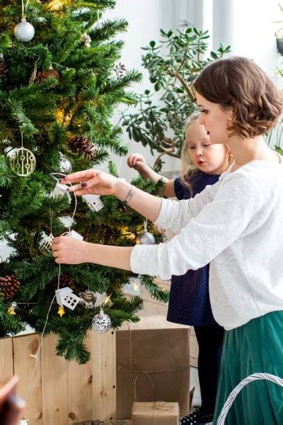 ¿cómo Elegir Un árbol De Navidad Natural Interflora