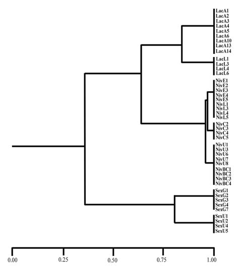 Phenogram Obtained Using Upgma Clustering Method For Details On The Download Scientific