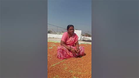 Ilachi Chinagunadhi Song Youtube