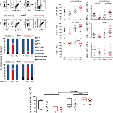 Proliferative Potential Of Melan A Specific T Cell Clones