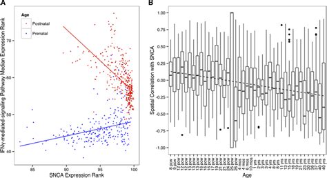Differential Co Expression Between Ifn γ Genes And Snca Across Age A