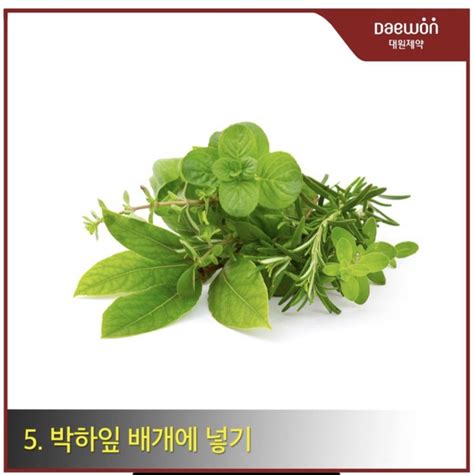 조상님들은 어떻게 감기를 완화 시켰을까