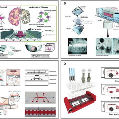Bioengineering Technologies In 3d Neural Cultures Including