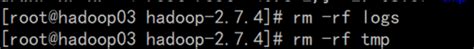 解决hadoop集群中（主，从）节点上无datanode的问题hadoop集群从节点没有datanode Csdn博客