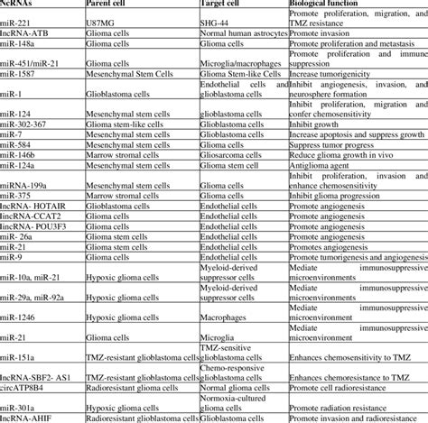 The Biological Functions Of Exosomal Ncrnas In Glioma Reproduced With