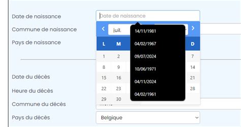 How To Disable Autocompletion Of Date Fields Formidable Forms Community