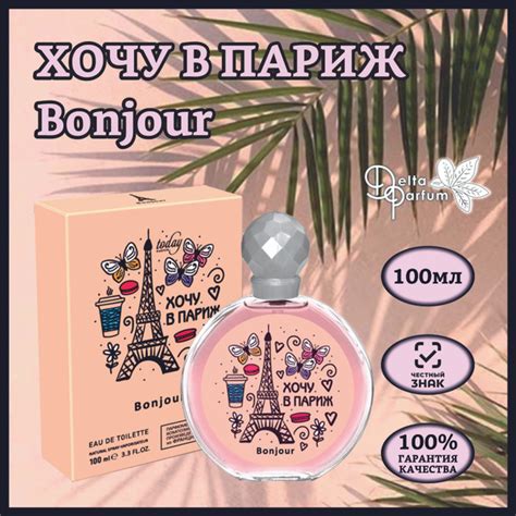 Iren Adler ХОЧУ В ПАРИЖ BONJOUR BONJOUR 50923 Туалетная вода 100 мл