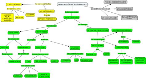 Increible Quinto Mapa Conceptual De Los Ecosistemas