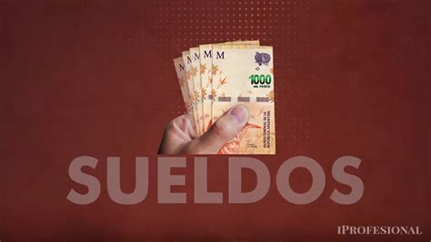 Qué Aumento De Sueldo Tendrán Los Ceo Y Ejecutivos En 2024