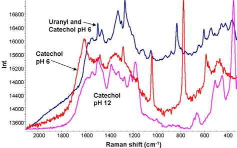 Raman Spectra Of 11 Catechol Molybdate At Ph6 A Six Month Old