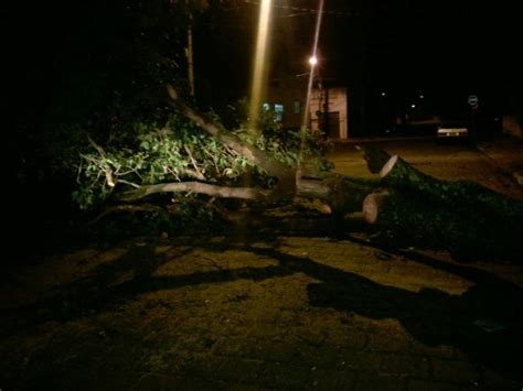 G1 Chuva E Ventania Causam Estragos Na Região De Marília Notícias