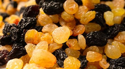 5 Aliments Toxiques Pour Le Chien Que L On Trouve Dans Toutes Les