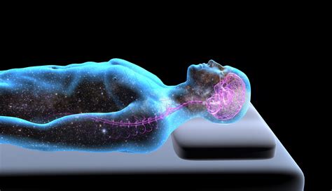 Cosa Succede Nel Nostro Cervello Quando Dormiamo
