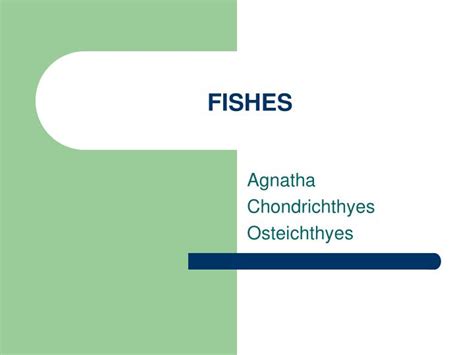 Ppt Fishes Powerpoint Presentation Free Download Id332112