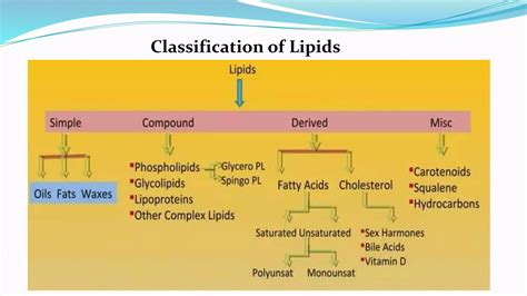 Fats And Oils With Their Analytical Values 3rd Sempptx