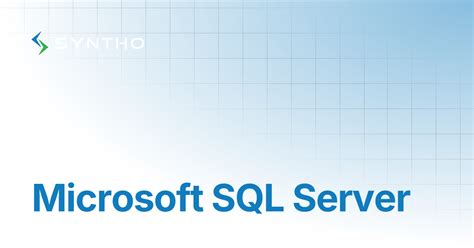 Microsoft Sql Server Syntho Documentation