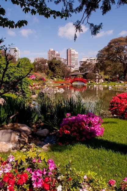 Premium Photo Flowers And Pond In The Japanese Garden In Buenos Aires
