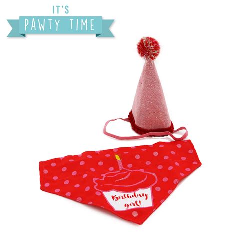 Its My Birthday Hat And Bandanna Pink