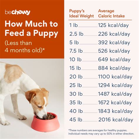 Puppy Feeding Schedule Everything You Need To Know The Dog 42 Off
