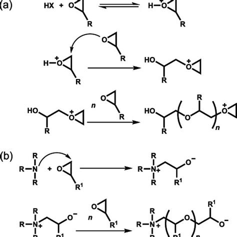 Reaction Schemes Of Chain Growth Ring Opening Polymerization With A