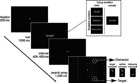 Trial Sequence Participants Executed A Speeded Saccade To The Uniquely