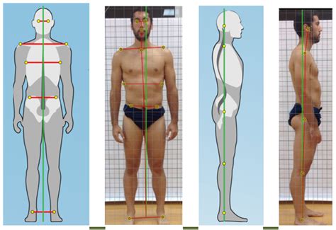 EL ESTATISMO POSTURAL SatirNet Safety