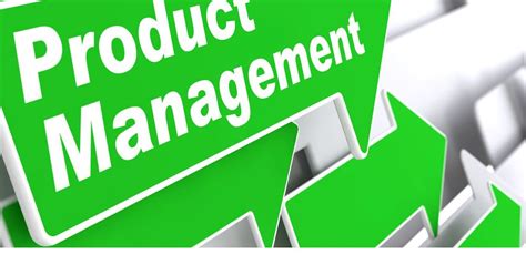 The Basics Of Product Management A Comprehensive Course Overview