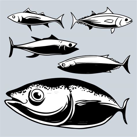 Tuna Fish Illustration 4 26602658 Vector Art At Vecteezy
