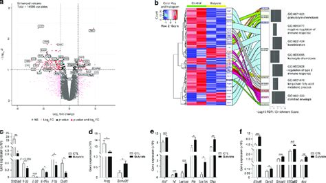 Butyrate Alters The Skin Transcriptome Following Allergen Exposure A