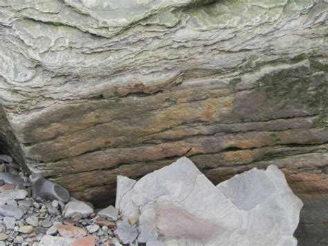 Joggins Fossil Cliffs In Nova Scotia Canada Member Stories