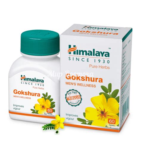 Гокшура Хималая (Gokshura Himalaya) для мужского здоровья купить в ...