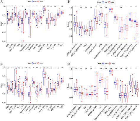 Aging Screening And Identification Of Angiogenesis Related Genes As