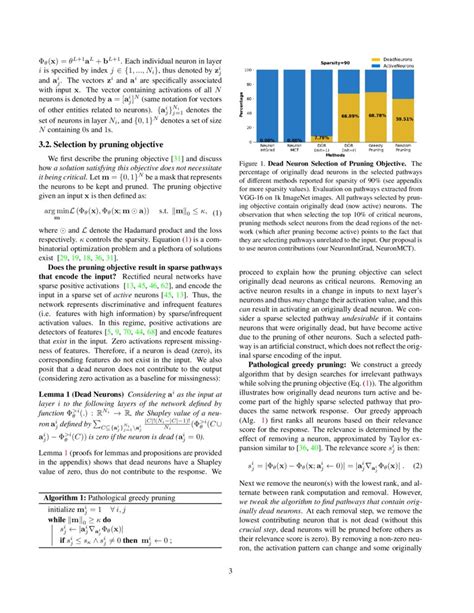 Neural Response Interpretation Through The Lens Of Critical Pathways