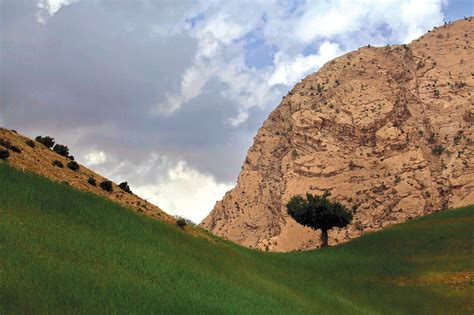 سطح پوشش گیاهی این منطقه از ایران برابر با ۴۵ کشور جهان است همشهری آنلاین
