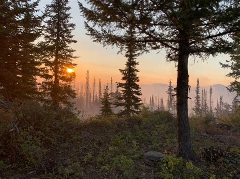 The Ultimate Guide To Kootenai National Forest Alex On The Map