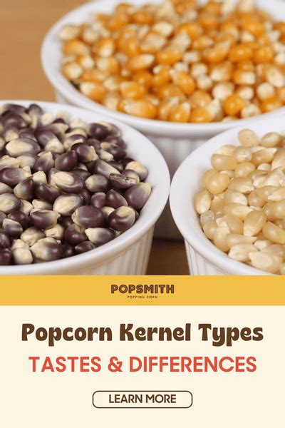 The Ultimate Guide To The Different Types Of Popcorn Kernels Popsmith