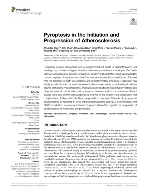 Pdf Pyroptosis In The Initiation And Progression Of Atherosclerosis