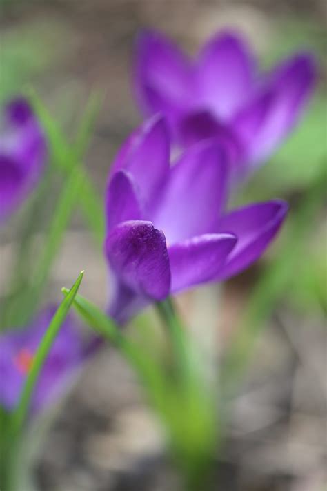 MoudrÝ Nezasahuje Já