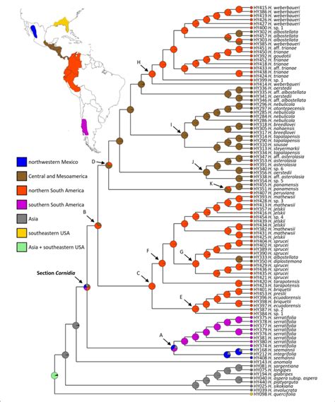 Ancestral Area Reconstruction Analysis In Biogeobears For Hydrangea