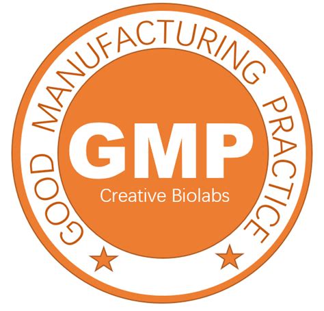 Custom Gmp Grade Mrna Synthesis Service Creative Biolabs