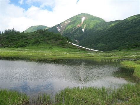 火打山とハクサンコザクラ −信州の旅 Com−