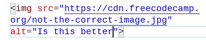 Cat Img And Alt HTML CSS The FreeCodeCamp Forum