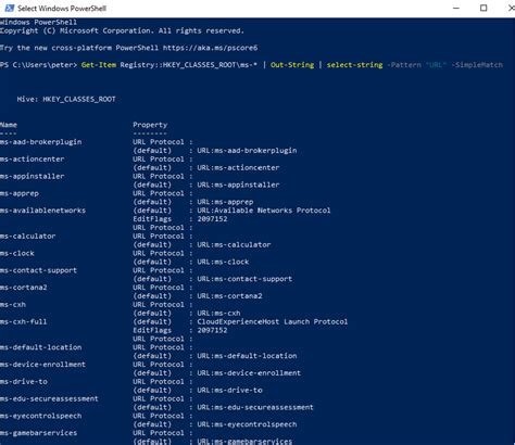 Initial Access Search Ms Uri Handler Penetration Testing Lab
