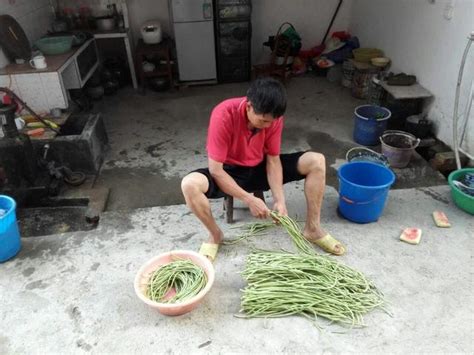 農村金句，家有萬貫，帶毛不算，養豬艱辛，老梁有招 每日頭條