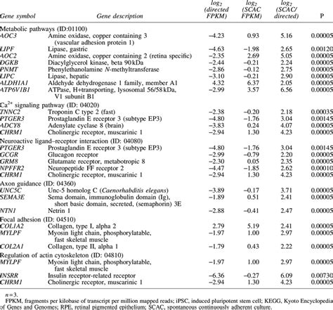 Rna Seq Kegg Pathway Enrichment Analysis Of Differentially Expressed