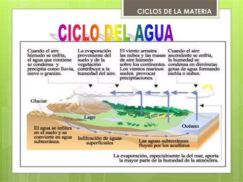Ecosistemas estructura y dinámica PPT