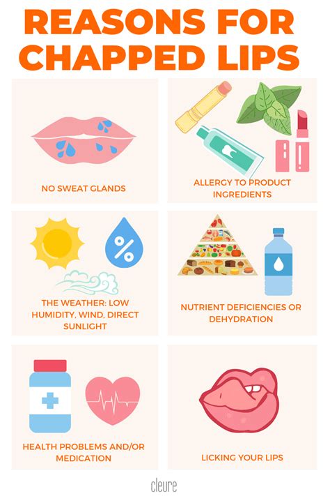 Advice For Chapped Lips In The Winter Artofit