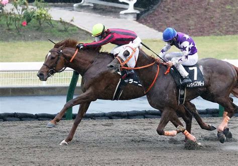 勢いが凄い！ オルフェーヴル産駒がダートで躍動！（jra Vanコラム）｜スポーツ情報はdメニュースポーツ