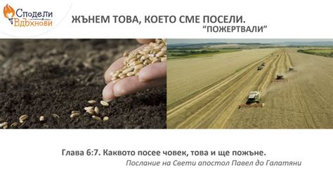 Вчера беше чудесен слънчев ден 🌈 Имах честта да се срещна с учениците от 12 клас профил