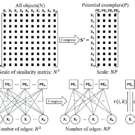 Schematic Of Ddap The Compression Of The Similarity Matrix And The